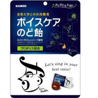 Voice Care Throat Lozenges ｜ DOKODEMO