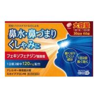 [Class 2 OTC Drug] BRON HI (60 Tablets) ｜ DOKODEMO